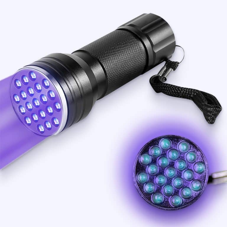 Glowberry PRIME LED UV Blacklight Torch - Prime Lights